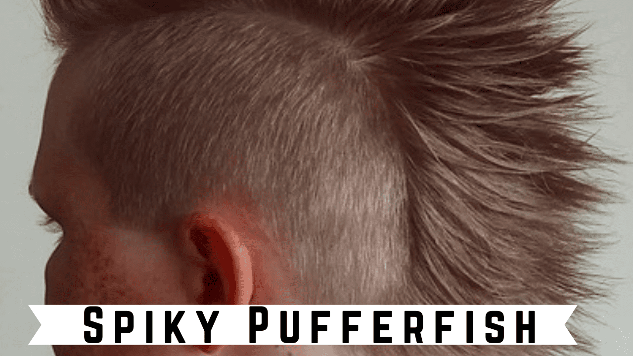 15 Goofy Ahh Haircuts to Avoid for Meme-Worthy Mishaps